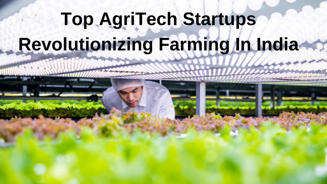 Top AgriTech Startups Revolutionizing Farming In India - Whizsky
